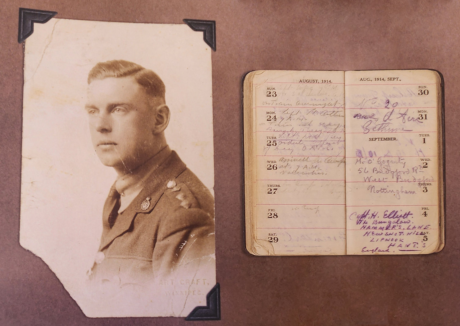 Hundred Acre Wood - Boston Children's Museum